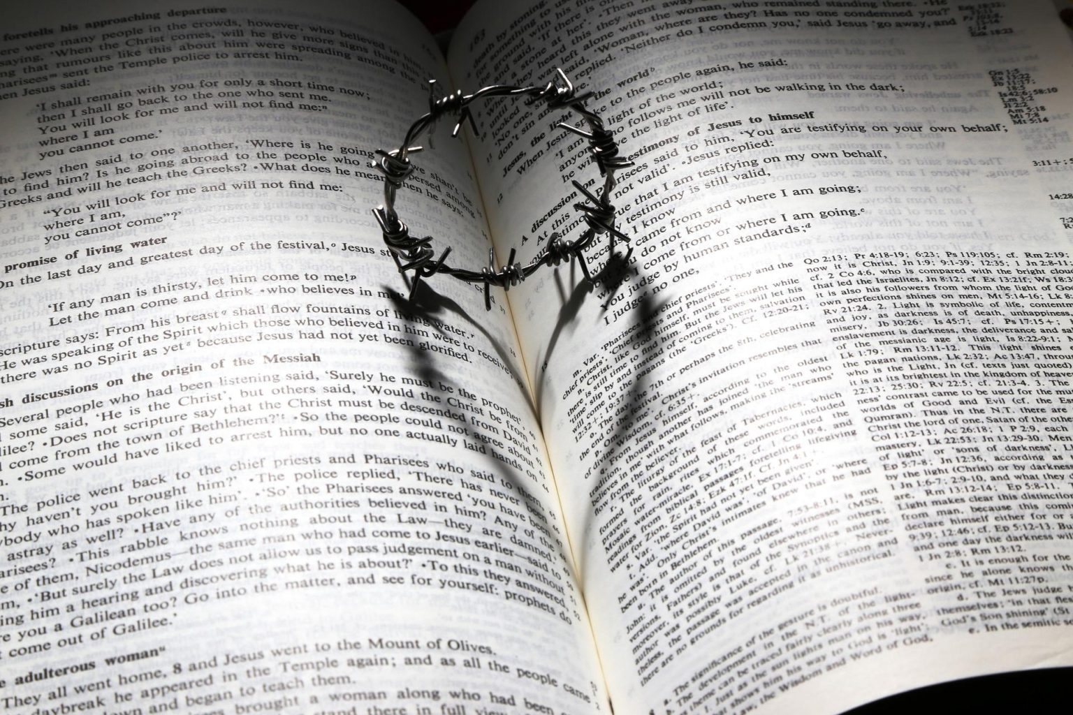 Who was Persecuted in the Bible?